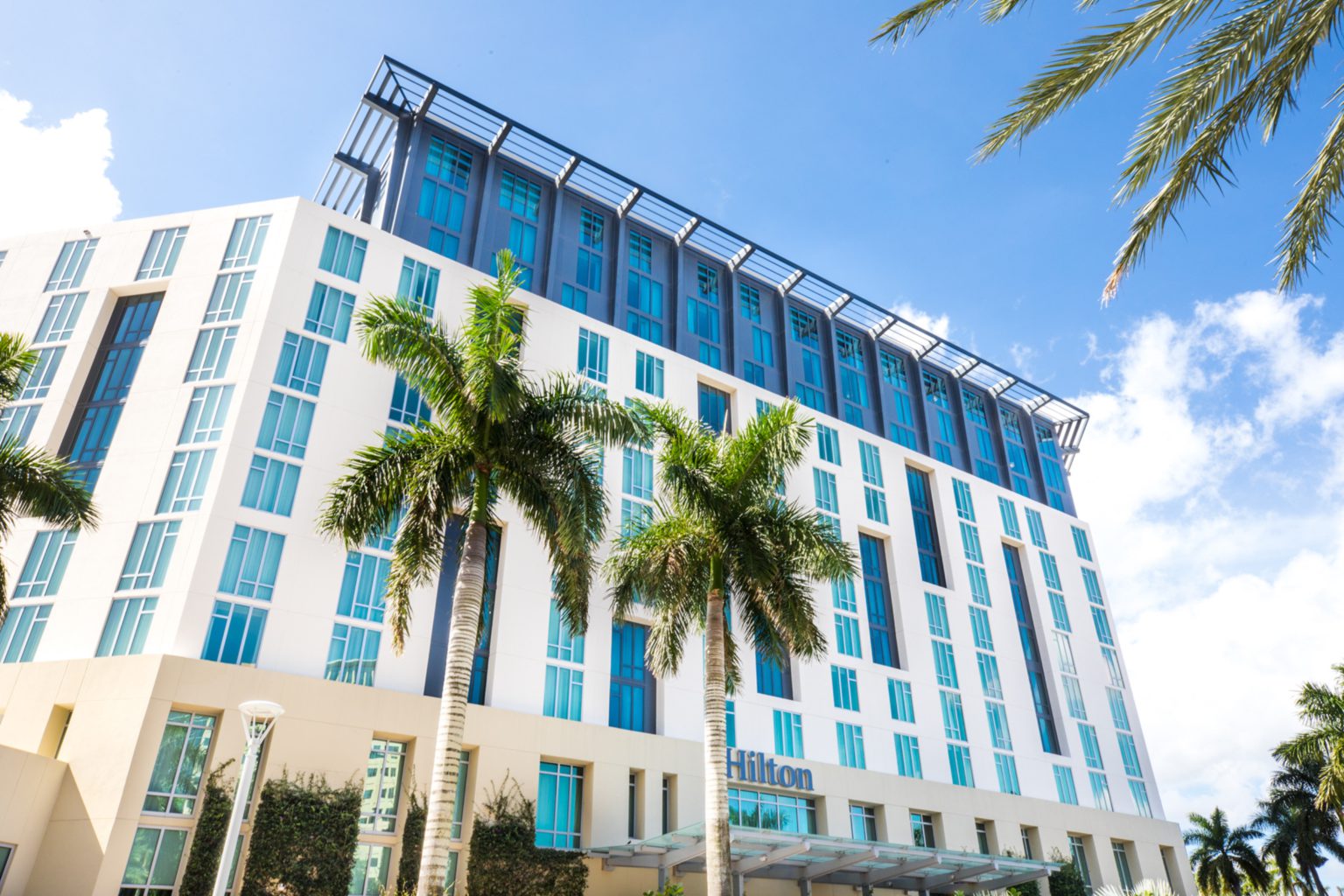 Hilton: Brands as the Lifeblood of Organisations | Brand Finance