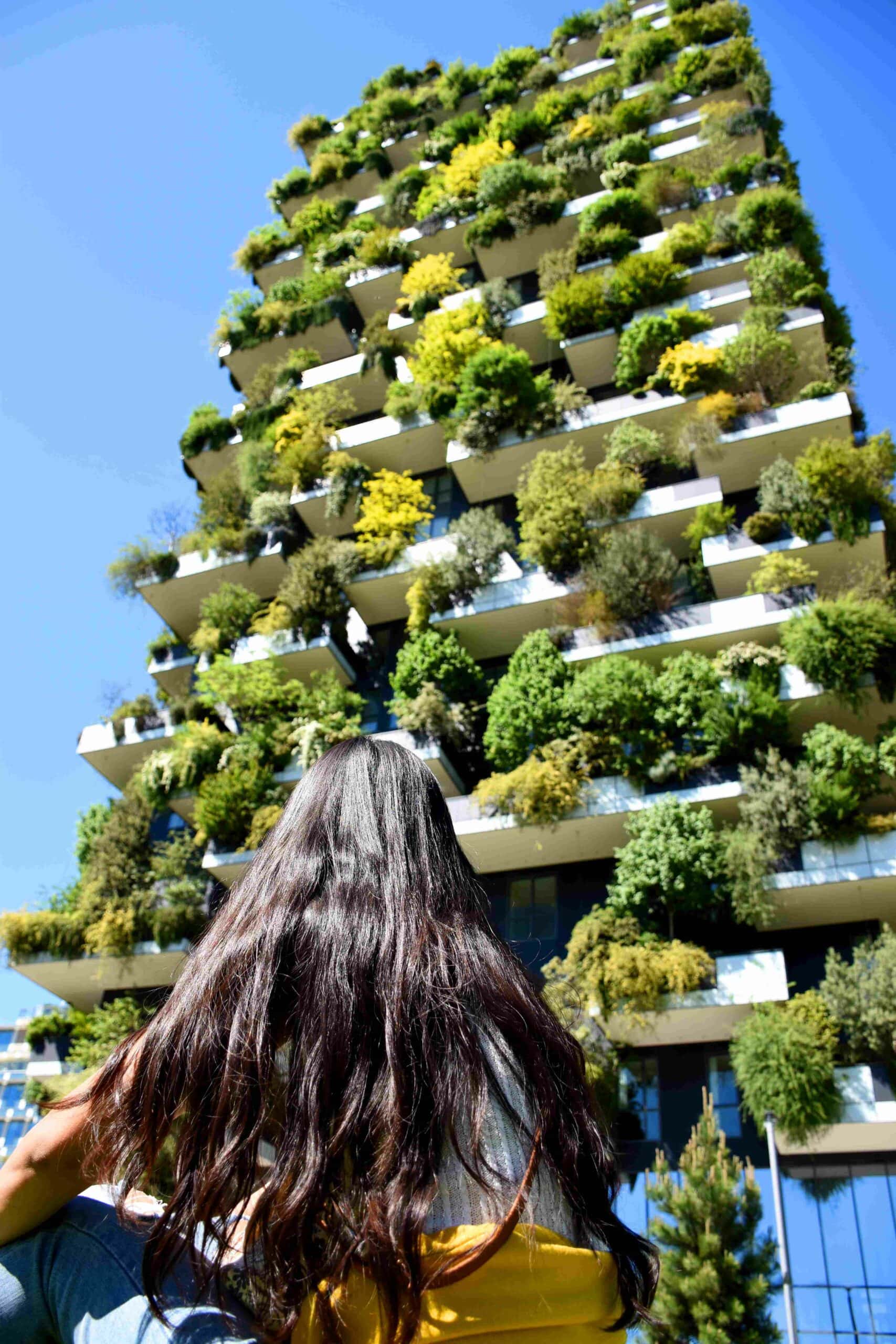 Green Diplomacy: Building Soft Power Through Sustainability in a ...